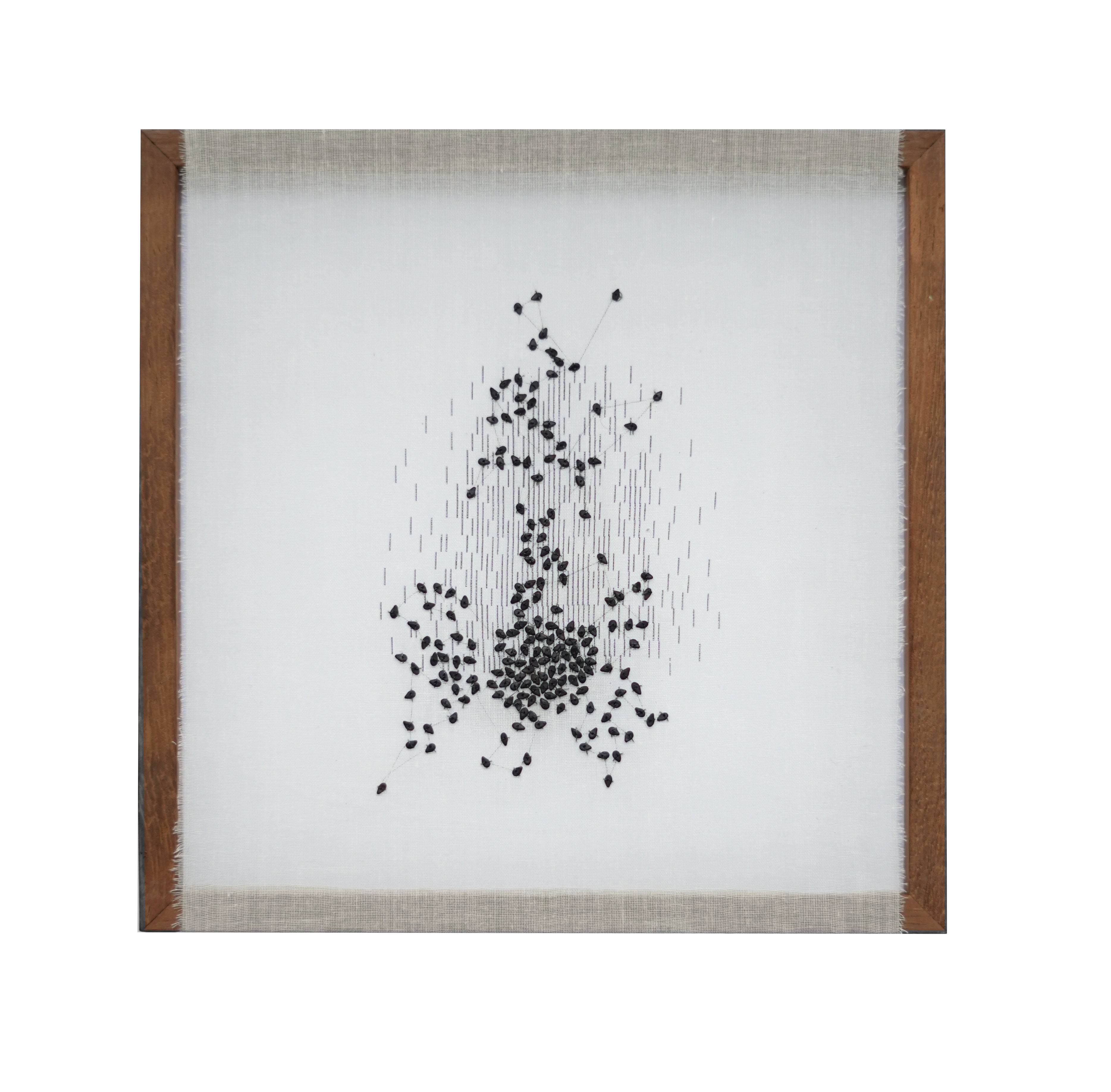 Seeds 1 – Katherine Taylor