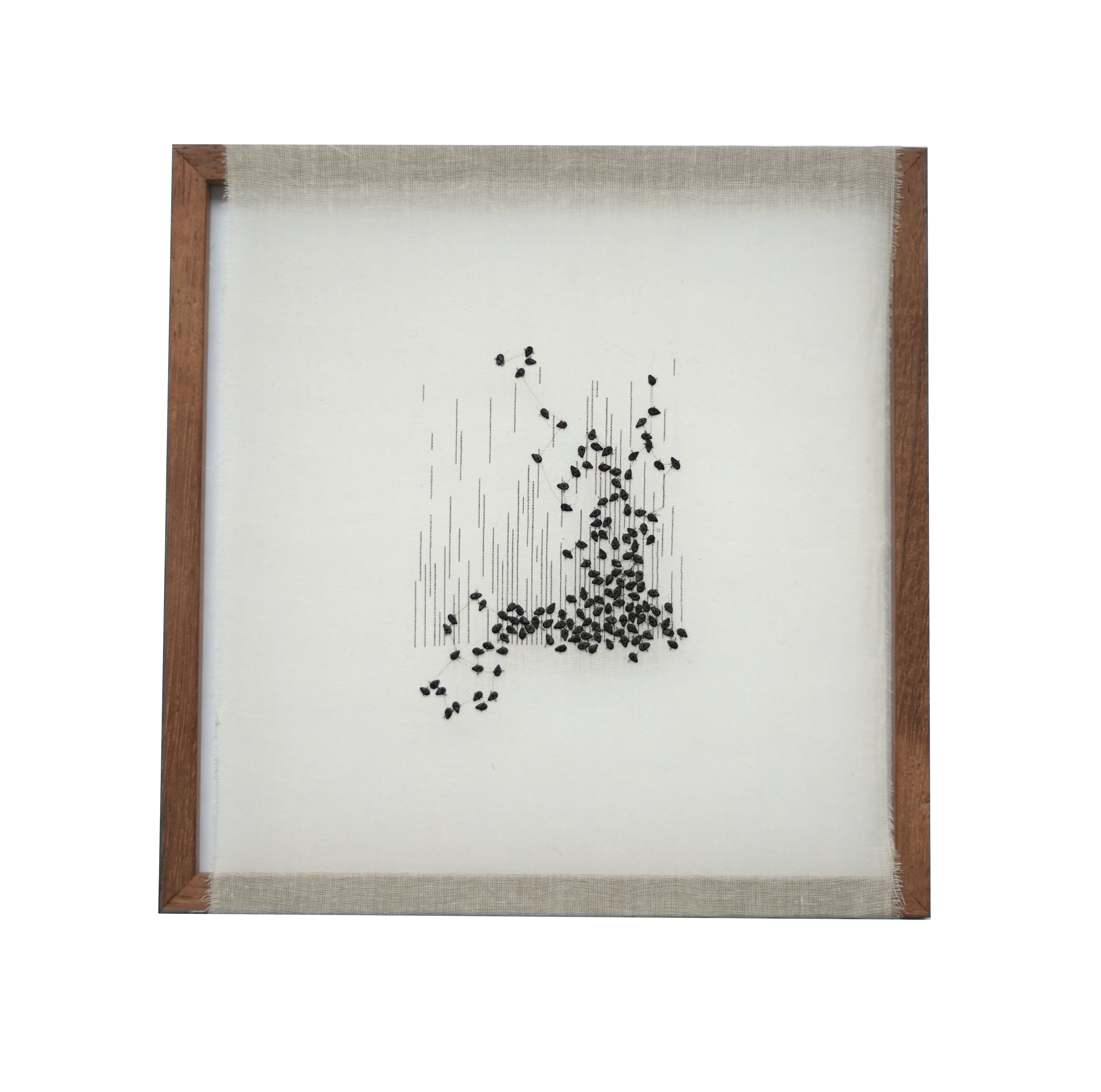 Seeds 2 – Katherine Taylor